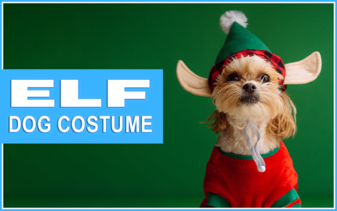 Dog Elf Costume - Let Your Dog Get Into The Holiday Spirit! - Dogbells